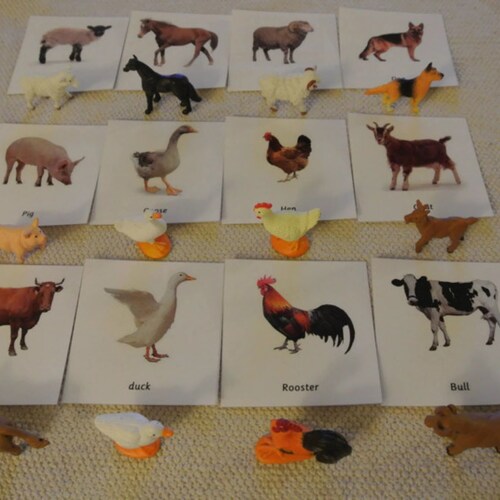 Montessori Common Pets 3 Part Cards With Miniatures - Etsy