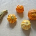 Montessori Common Pumpkins 3 Parts Cards Homeschool Classroom ...