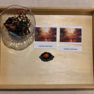 Montessori History Prehistoric Life and Animals 3 Parts Cards ...