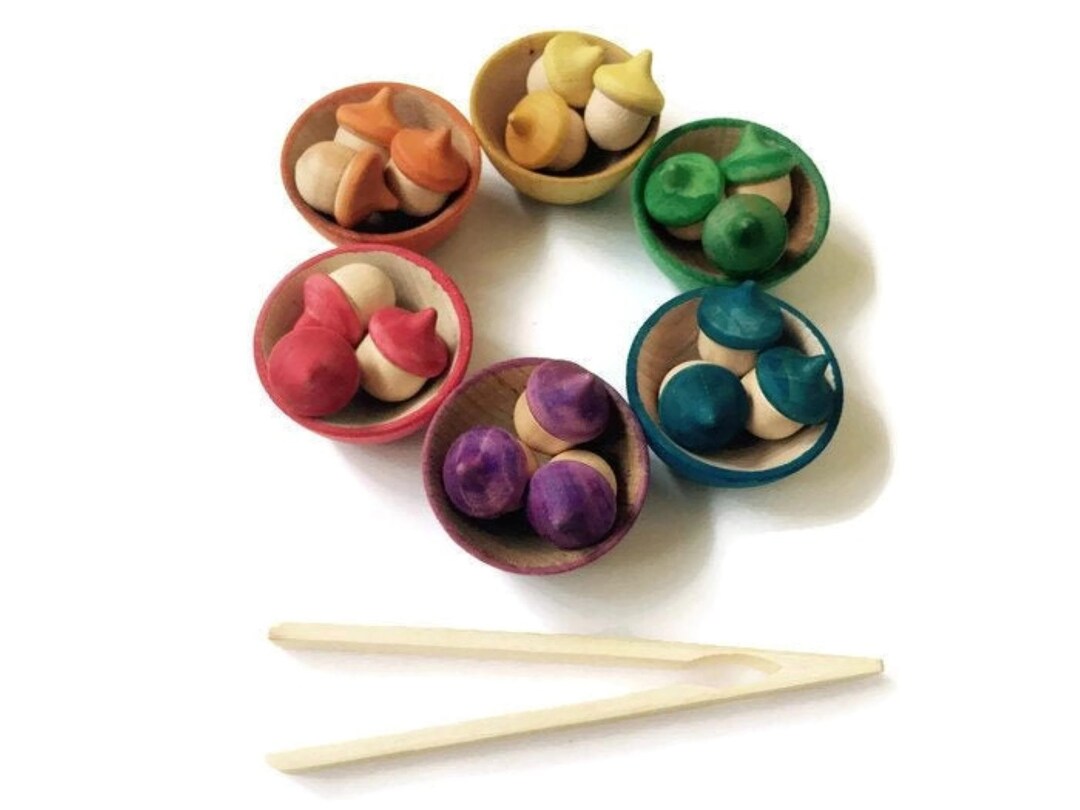 Montessori Waldorf Learning & Sorting Acorn Game Home School ...