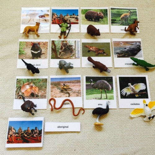 Montessori Knowing Australia 3 Parts Cards With Miniatures - Etsy
