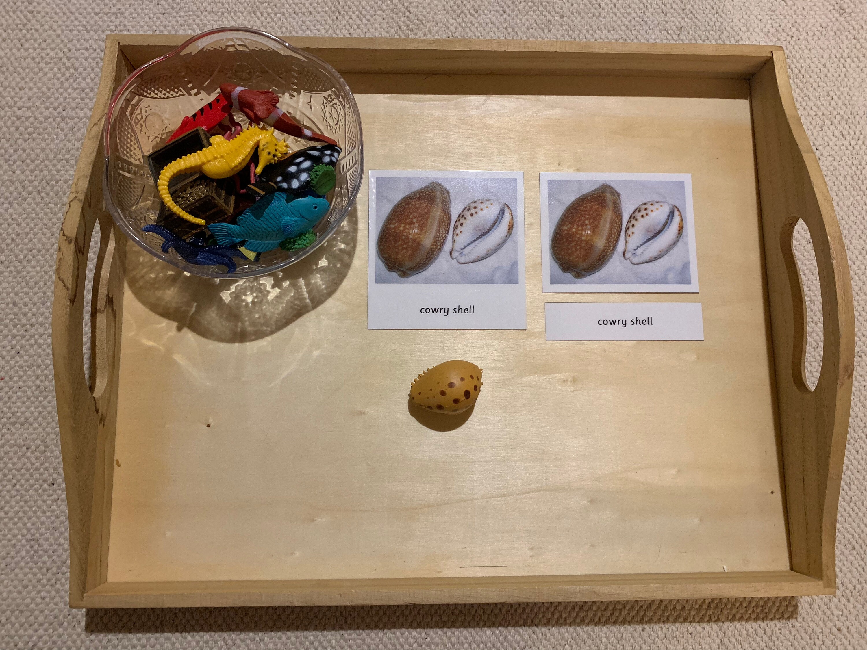 Montessori Coral Reef 3 Parts Cards With Miniatures Home School ...