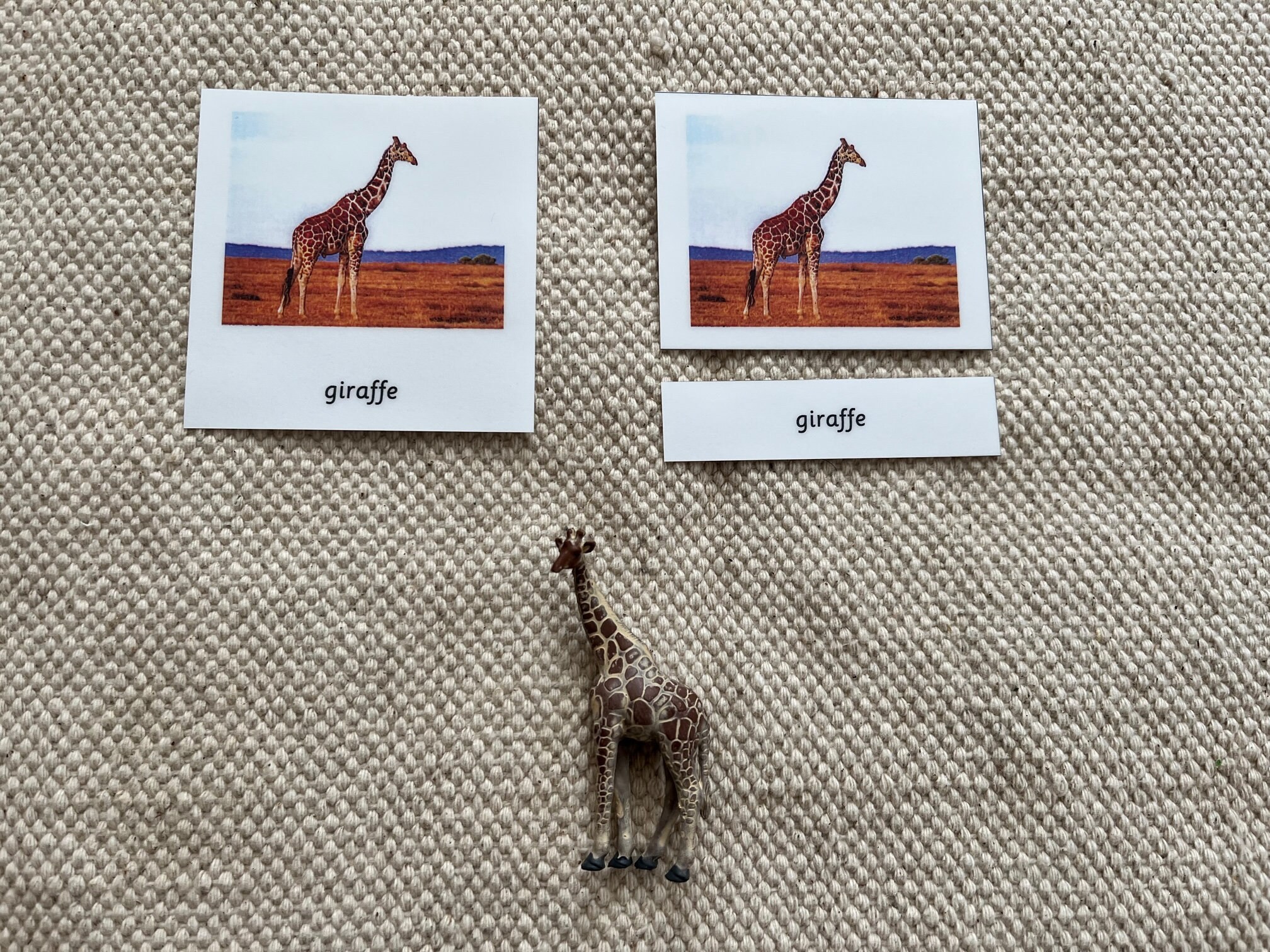 Montessori South African Animals 3 Parts Cards With Miniatures ...