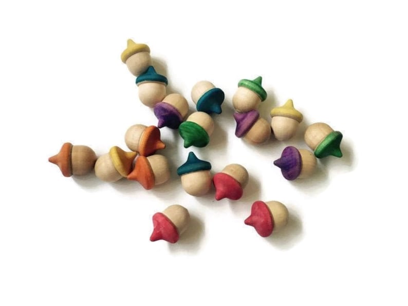 Montessori Waldorf Learning & Sorting Acorn Game Home School | Etsy