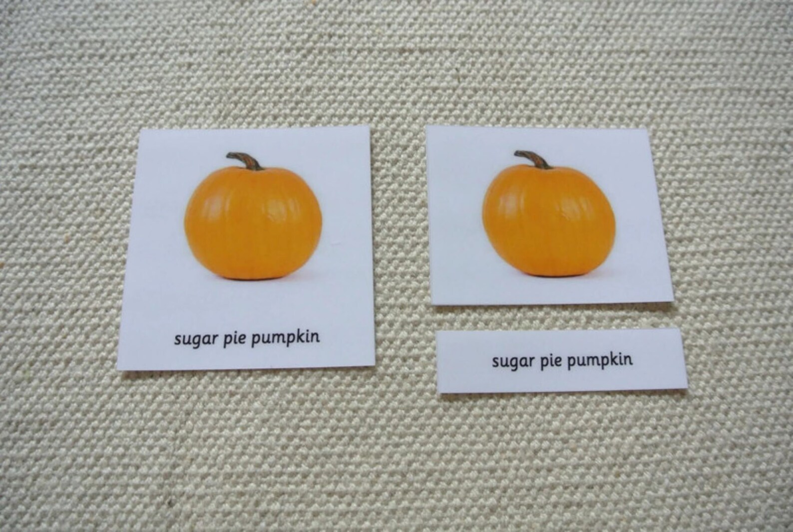 Montessori Common Pumpkins 3 Parts Cards | Etsy