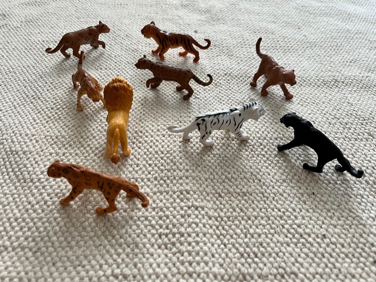 Montessori Big Cats Animal 3 Parts Nomenclature Cards Miniatures ...