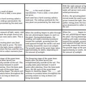 Montessori Life Cycle of a Green Bean Plant 5 Parts Cards Digital PDF ...