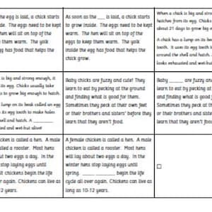 Montessori Life Cycle of A Chicken 5 Parts Cards Digital PDF Download ...