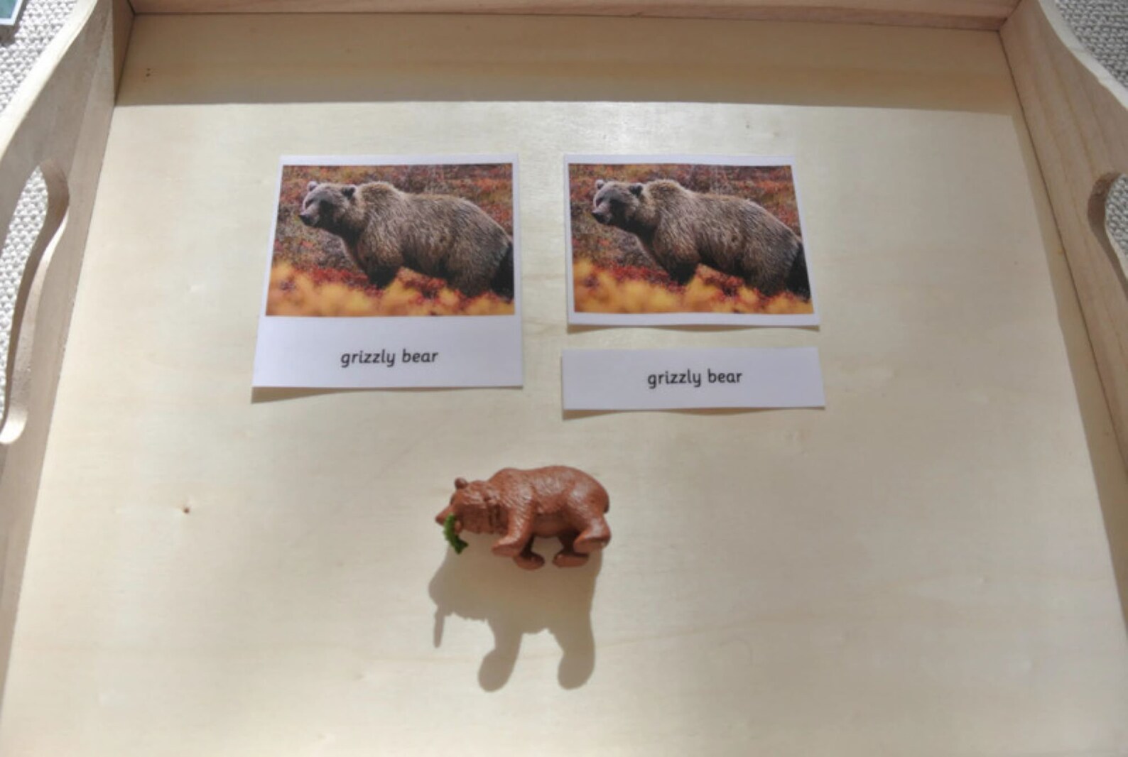 Montessori North America Wildlife 3 Parts Cards - Etsy