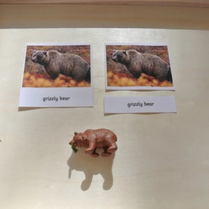 Montessori North America Wildlife 3 Parts Cards Homeschool Classroom ...