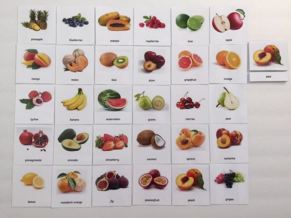 Montessori Common Fruits 3 Parts Cards | Etsy