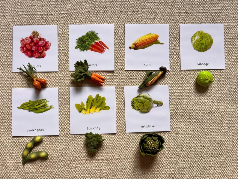 Montessori Common Vegetables 3 Parts Nomenclature Flash Cards ...