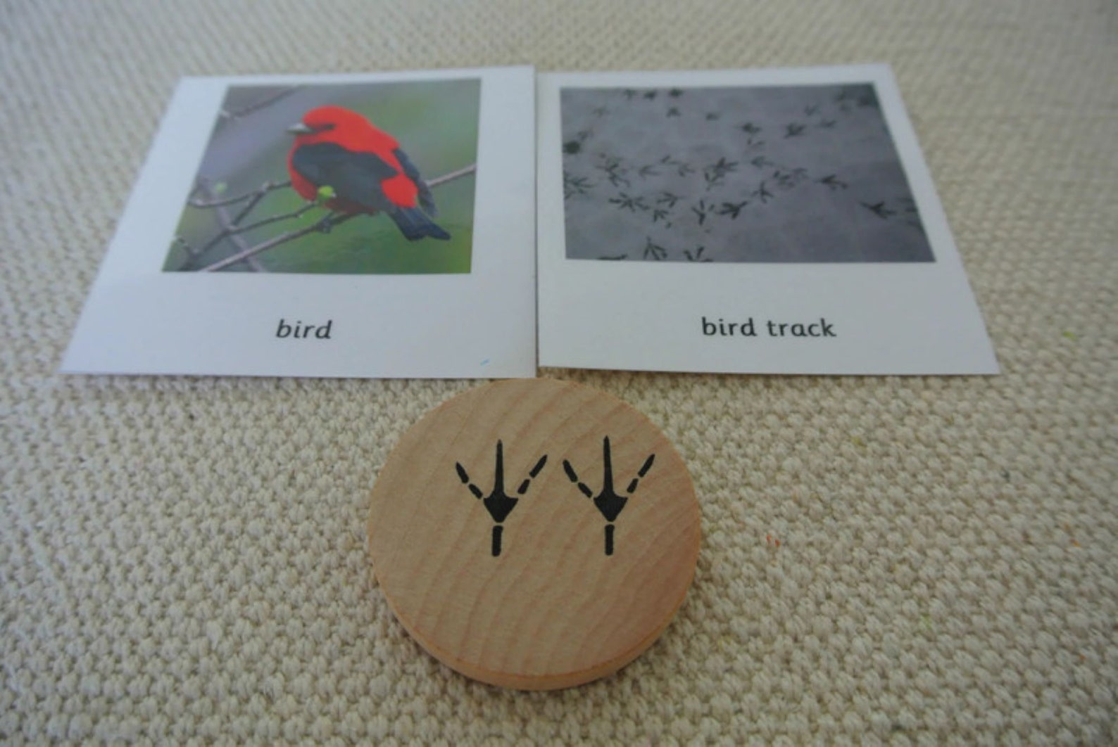 Montessori Inspired Animal Tracks Picture Cards and Memory - Etsy