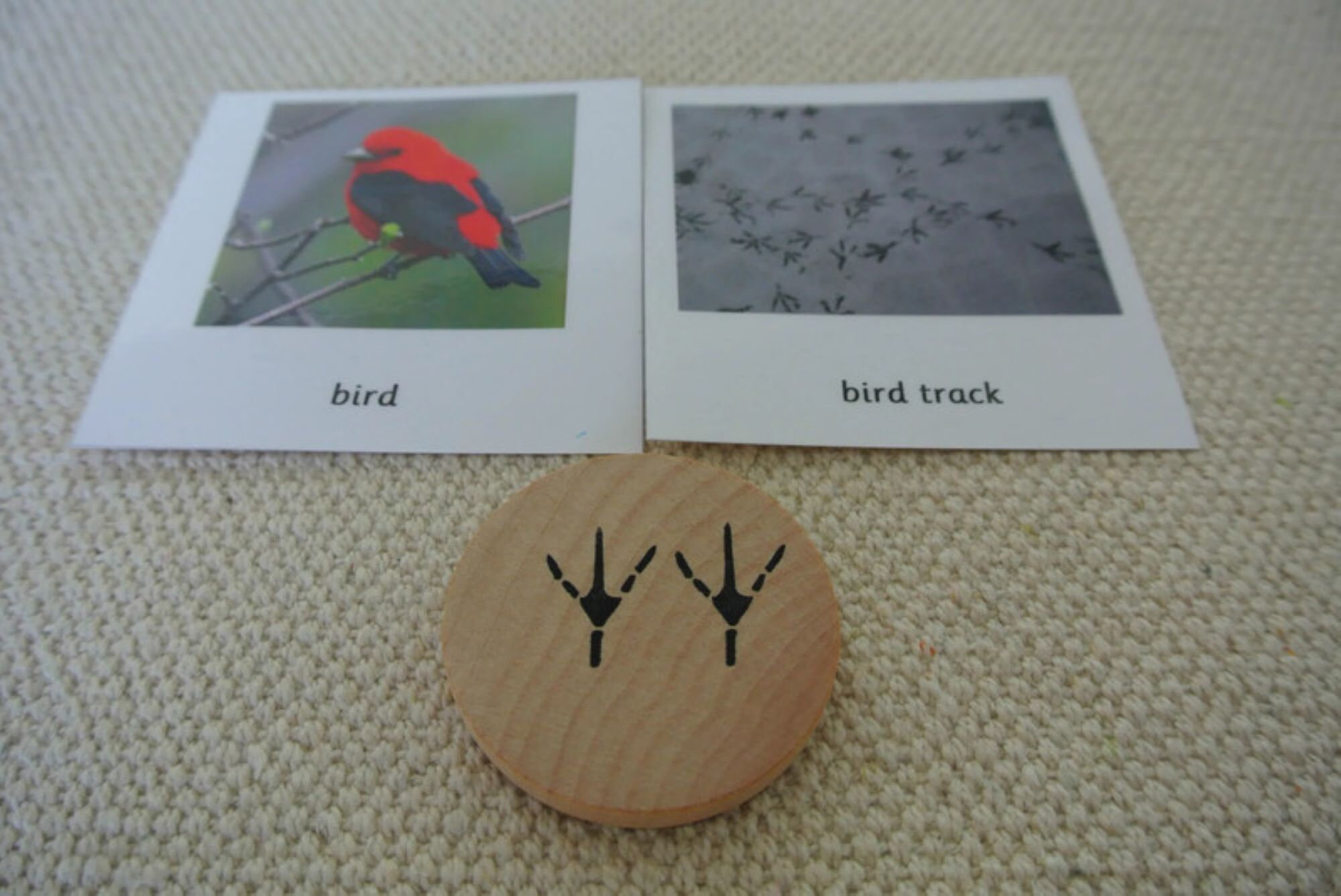 Montessori Inspired Animal Tracks Picture Cards and Memory - Etsy