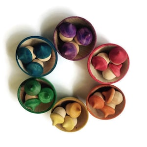 Montessori Waldorf Learning & Sorting Acorn Game Home School ...