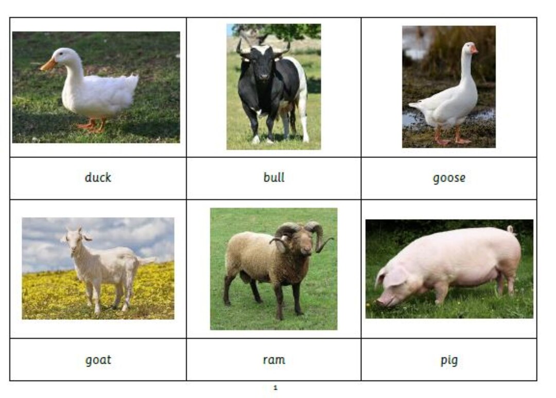 Montessori Common Farm Animals 3 Parts Cards Digital PDF Download ...