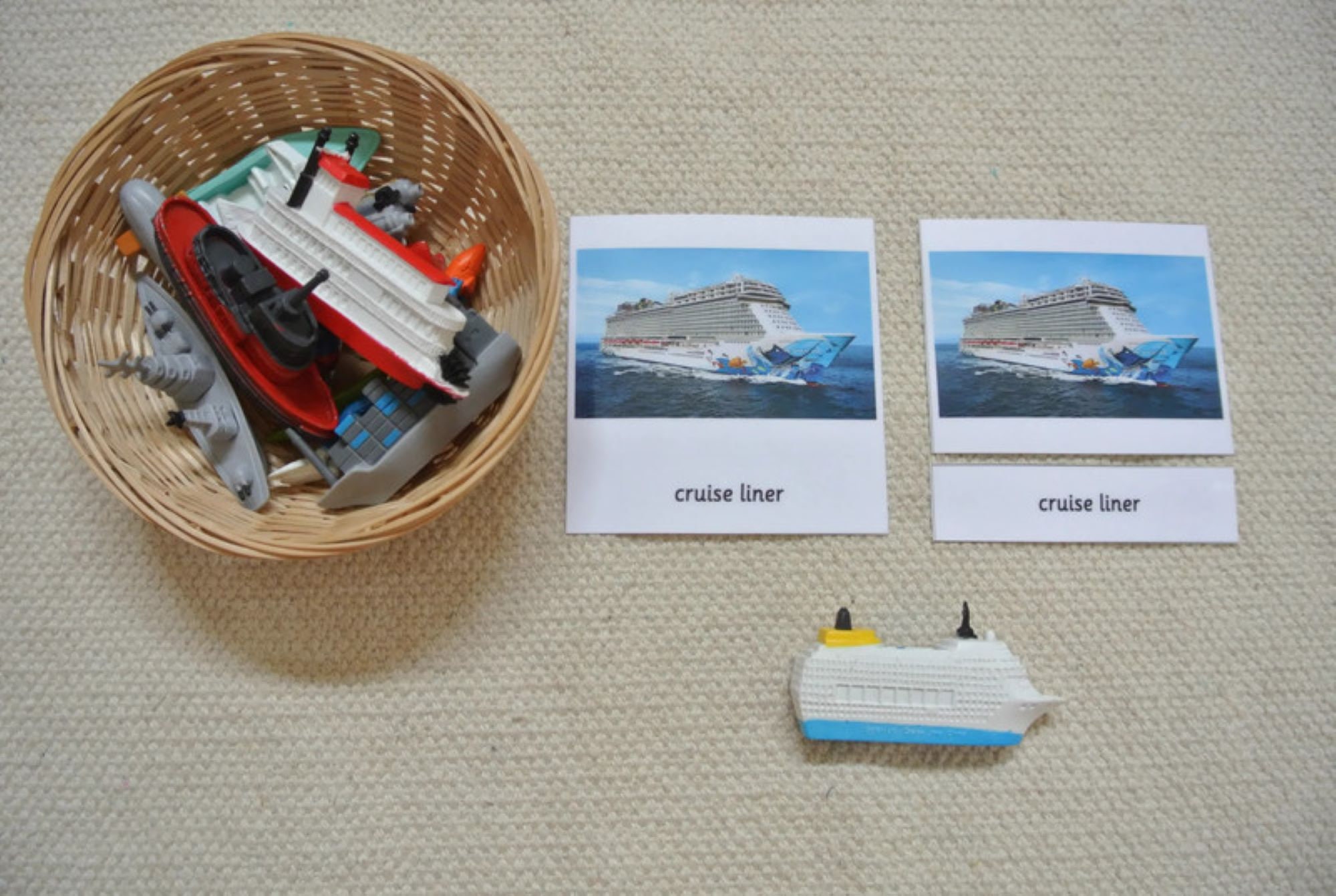 Montessori in the Water 3-part Cards With Miniatures - Etsy