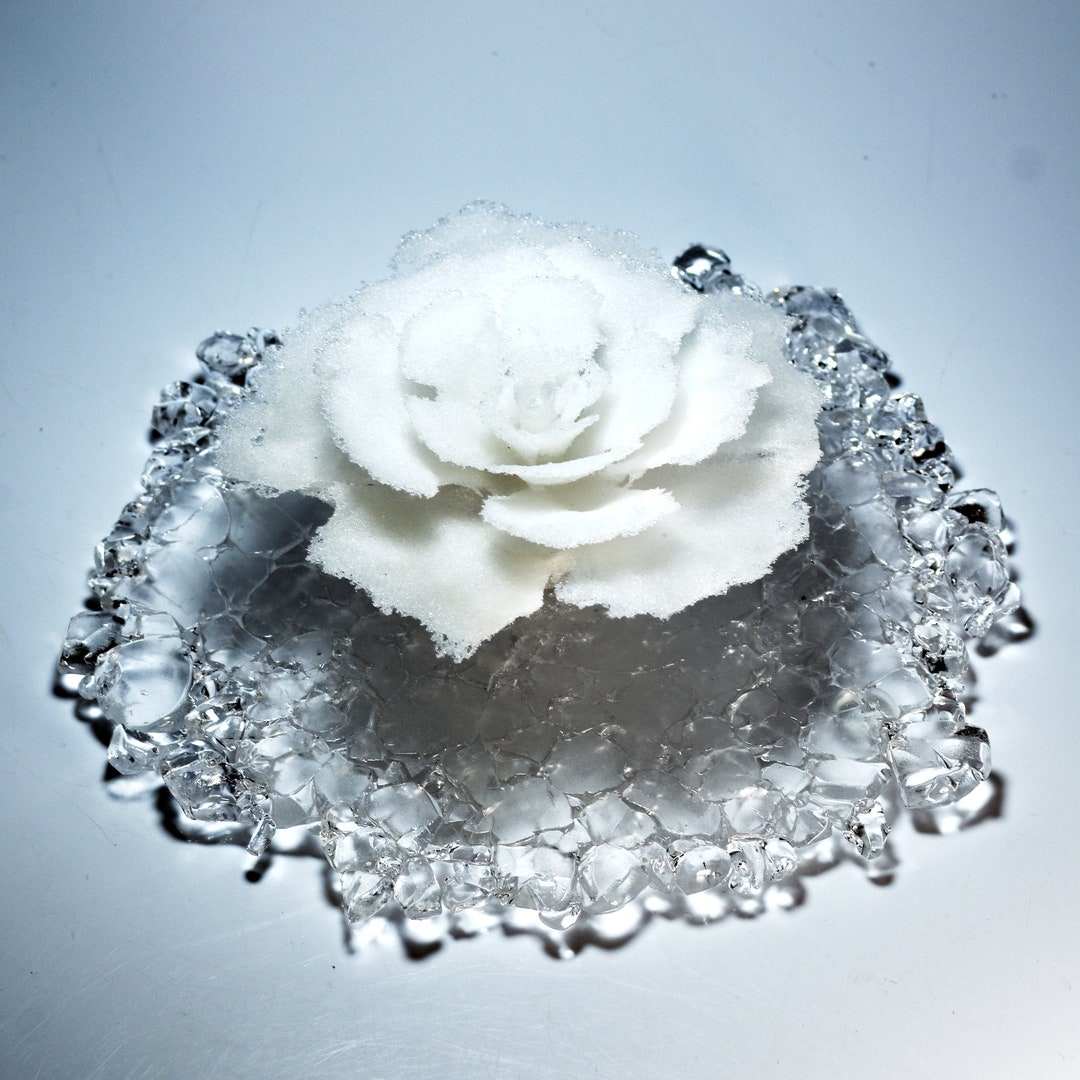 Chika Kato's Glass Sculpture, "frost Flower" - Etsy