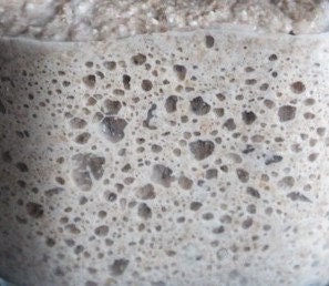 Organic Rye Sourdough Starter 32 Grams Freshly Milled Rye - Etsy