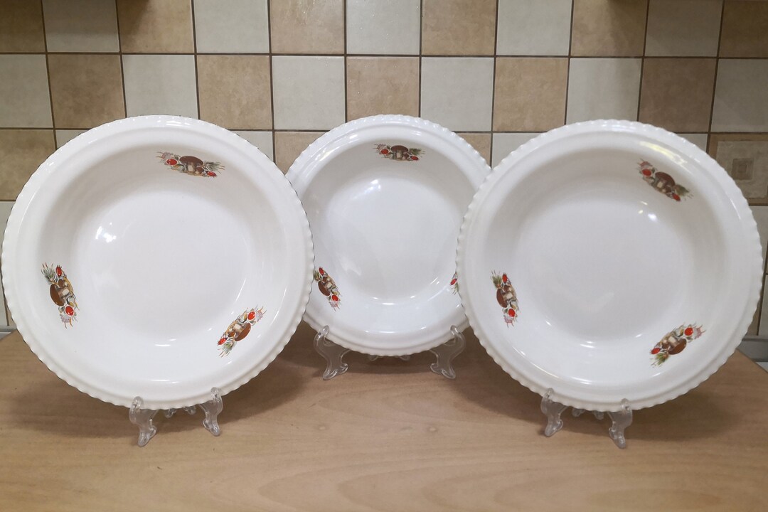 Three Vintage, Soviet, Metal, Enamel Plates From the 80s a Camping ...