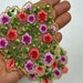 Green Embroidered Sewing Patches Floral Applique Indian Decorative ...