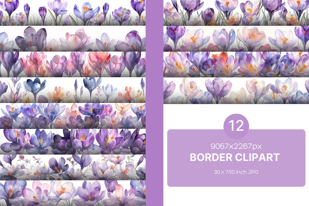 Crocus Border Clipart: Watercolor Spring Purple Floral Digital Paper ...
