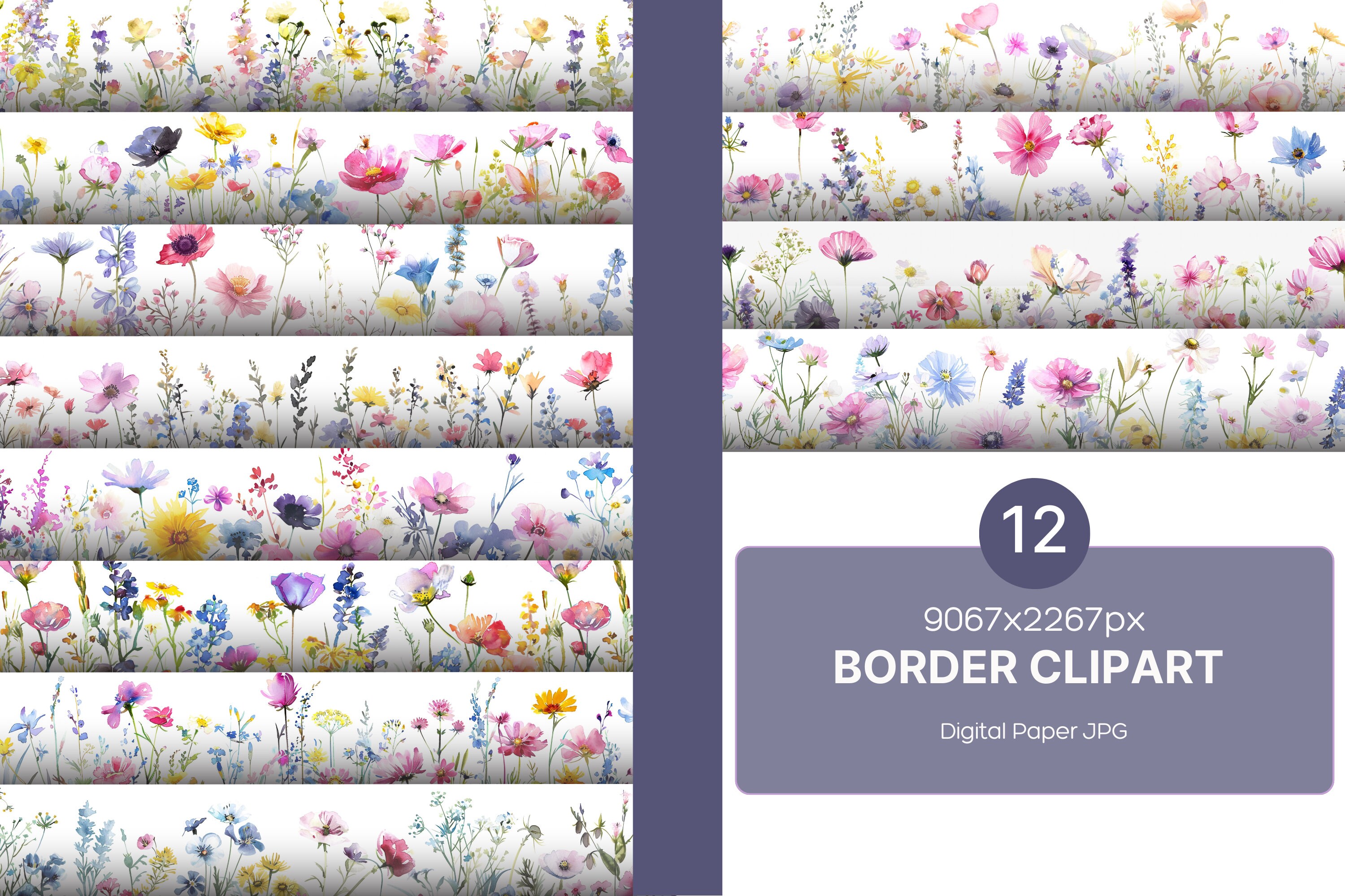Wildflower Border Clipart: Watercolor Spring Floral Digital Paper for ...