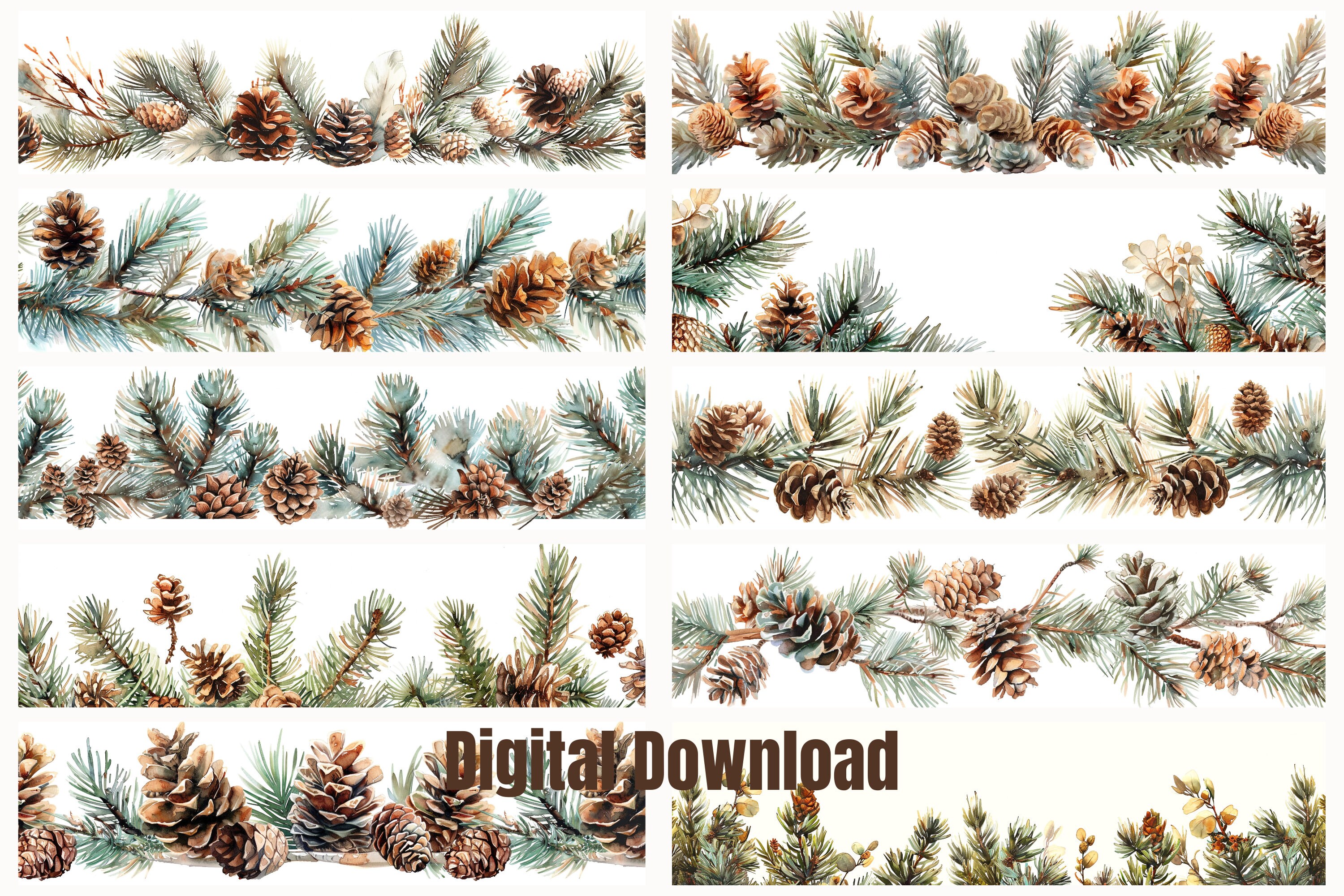Pine Cone Border Clipart: Watercolor Evergreen Needle Digital Paper for ...
