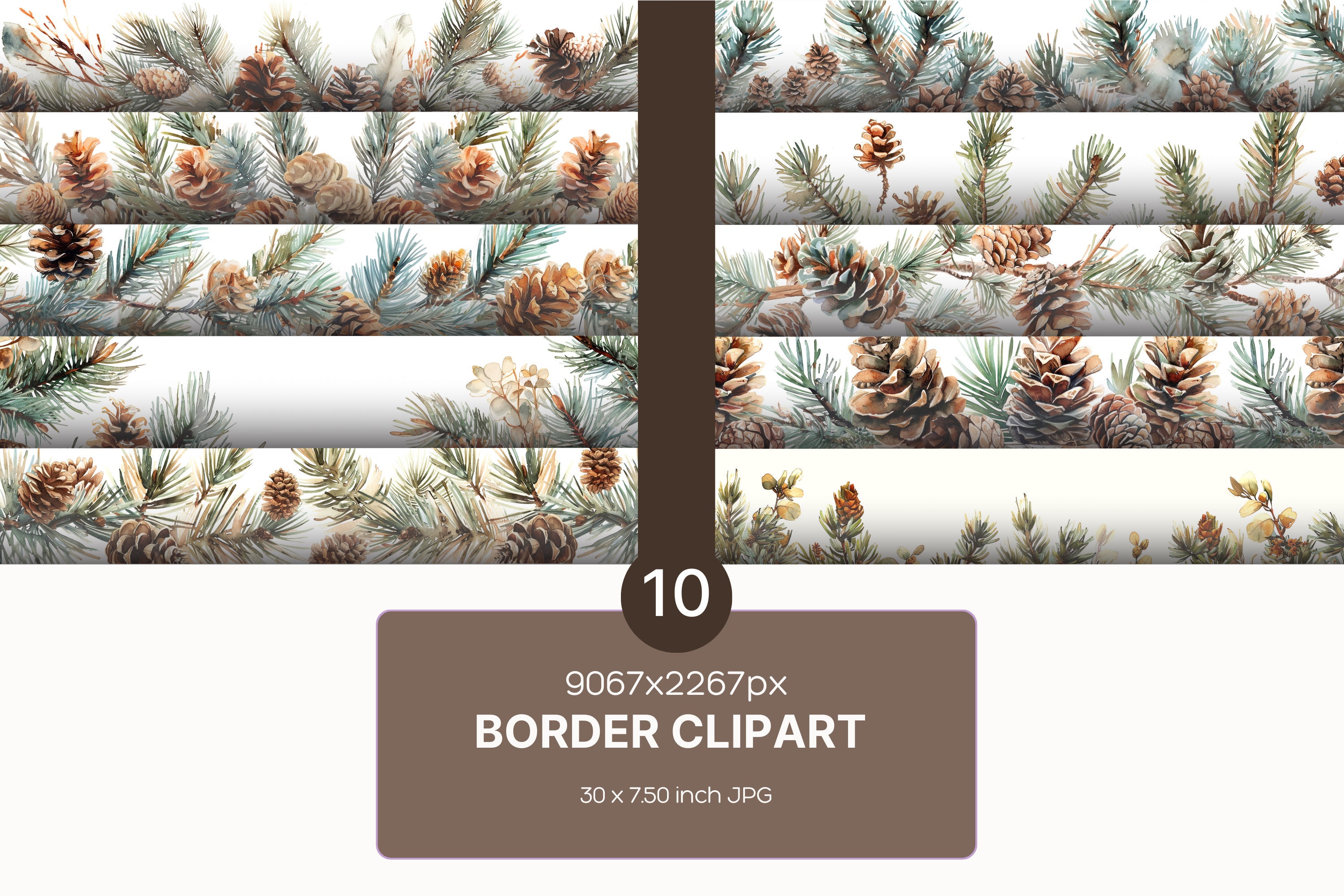 Pine Cone Border Clipart: Watercolor Evergreen Needle Digital Paper for ...