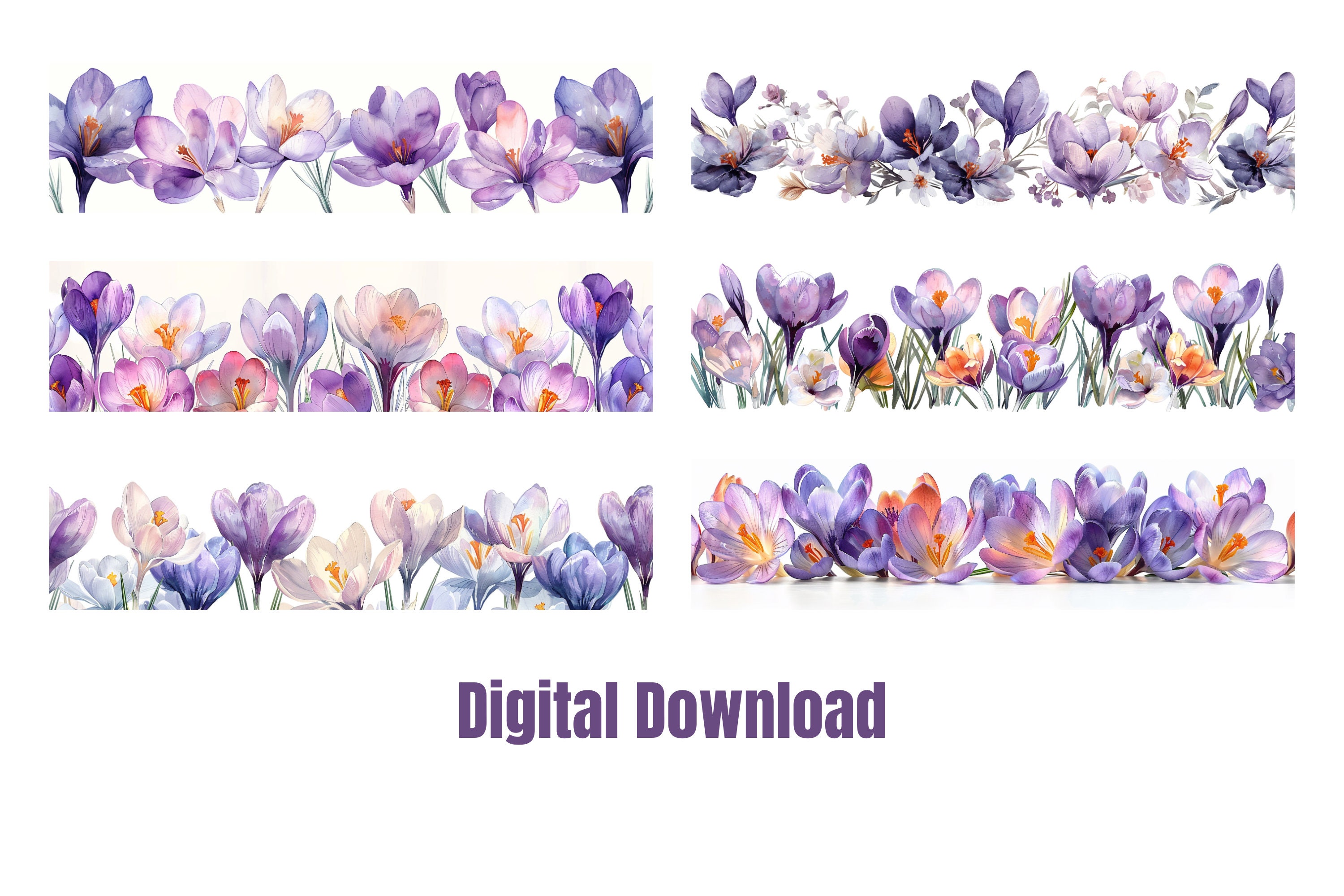 Crocus Border Clipart: Watercolor Spring Purple Floral Digital Paper ...