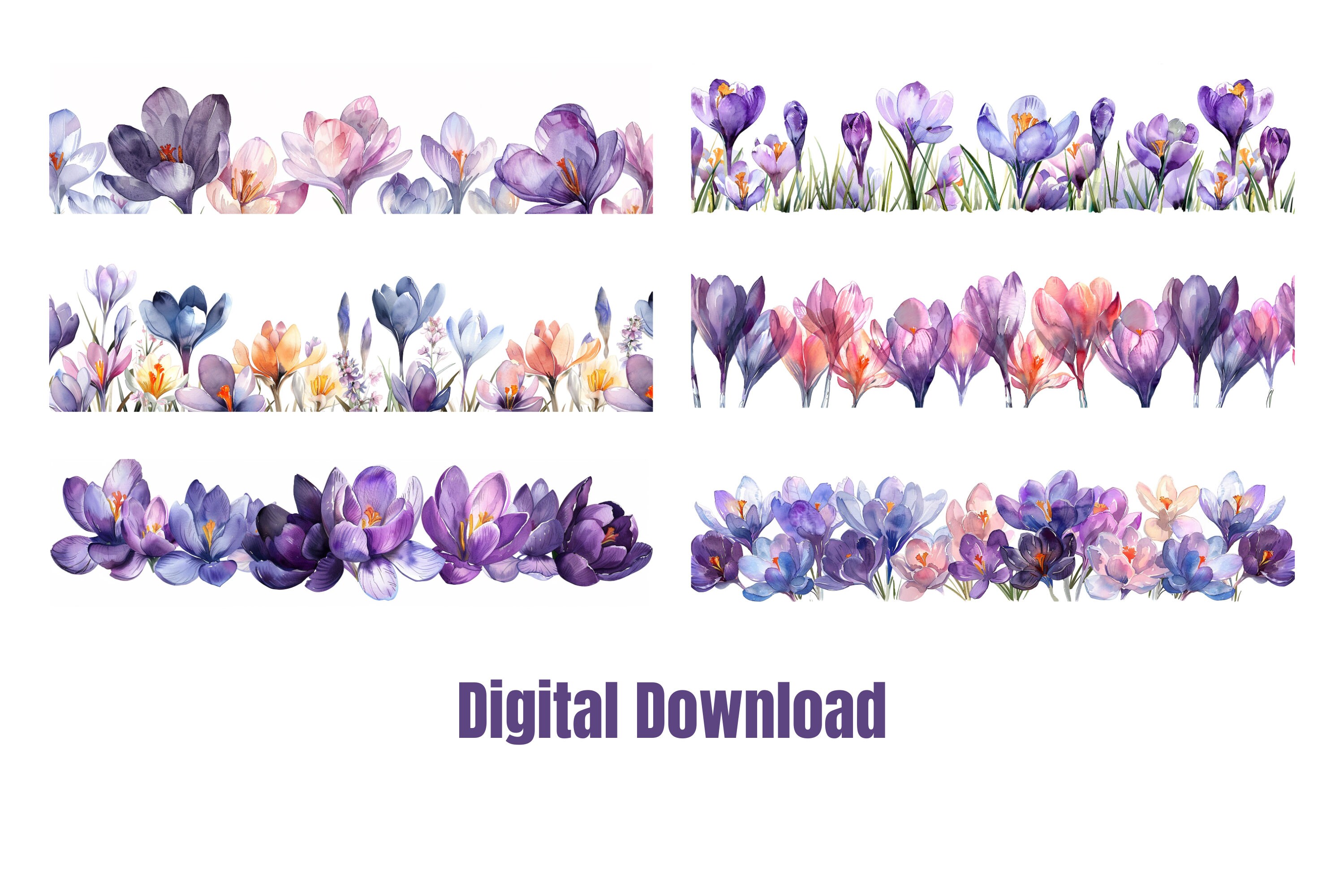 Crocus Border Clipart: Watercolor Spring Purple Floral Digital Paper ...