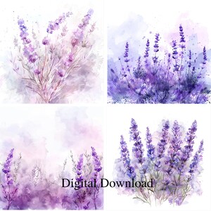 Lavender Digital Paper Background, Purple Floral Textures Wallpaper ...