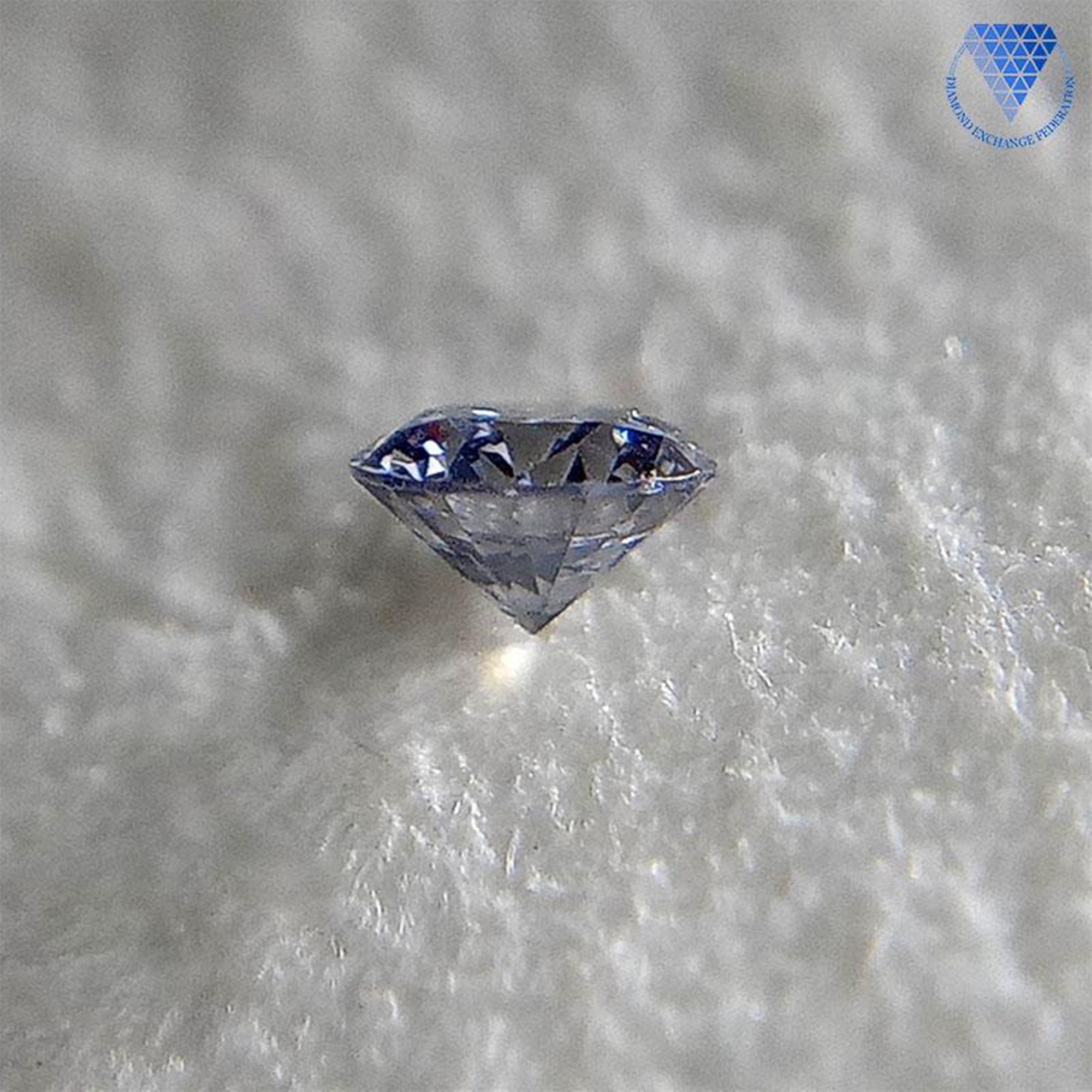 0.027 Ct Fancy Gray Violet VS2 CGL Japan Natural Loose 0.027 Ct Fancy Gray Violet VS2 CGL Japan Natural Loose