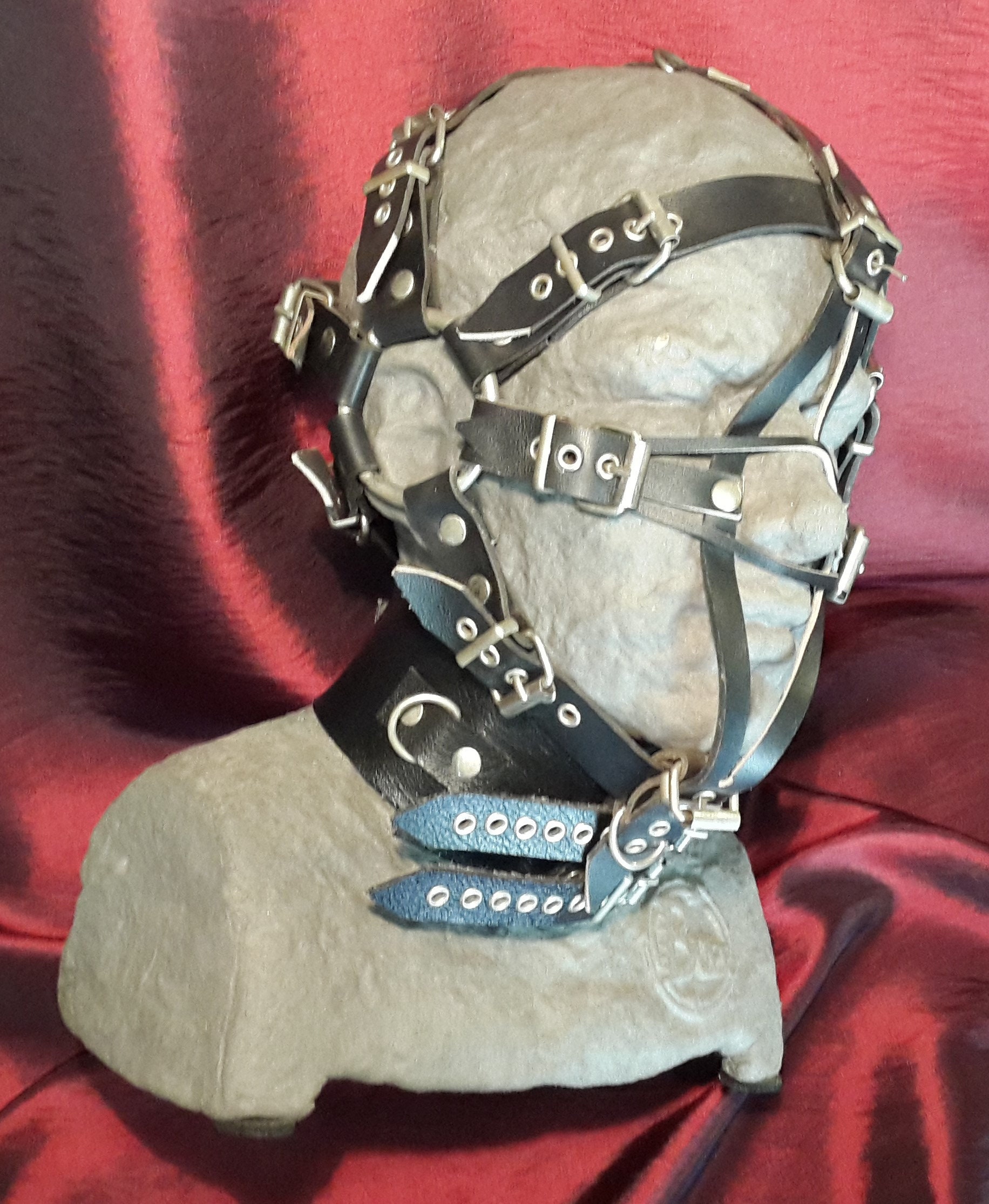Full Face Head Harness With Collar. - Etsy