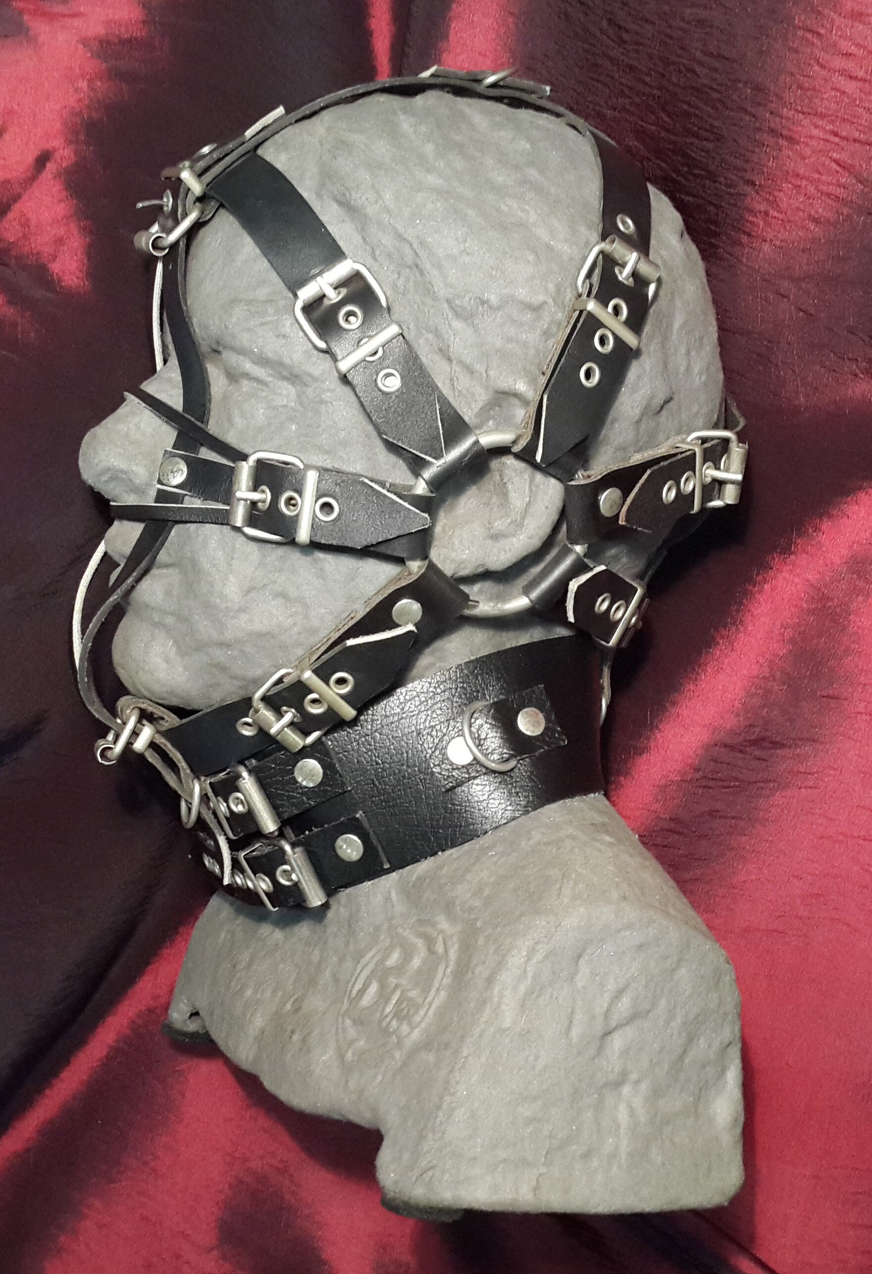 Full Face Head Harness With Collar. - Etsy