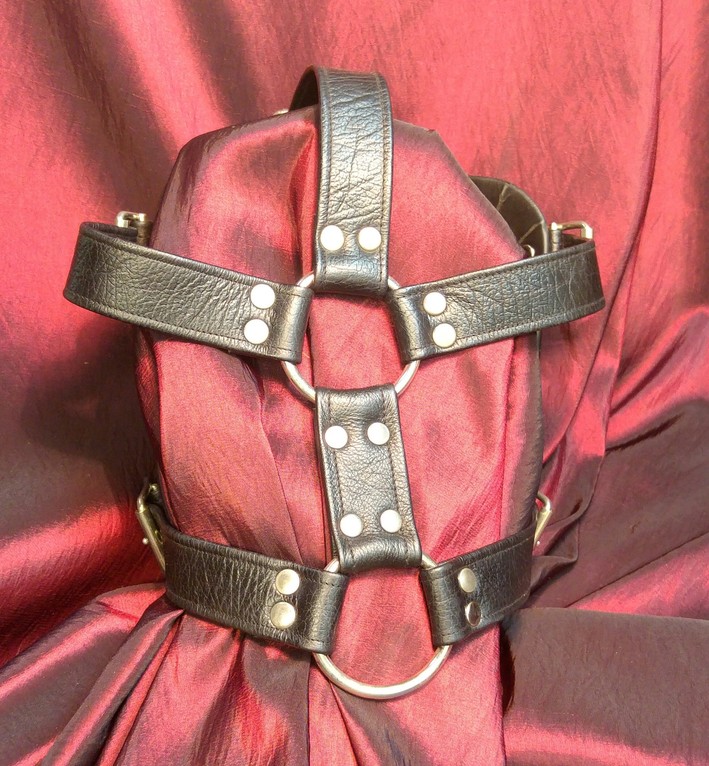 Closed Mouth Leather Face Mask With Full Head Harness and Belt and ...