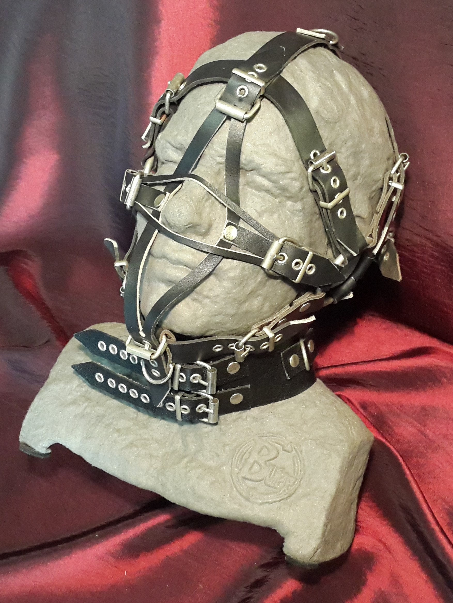 Full Face Head Harness With Collar. - Etsy