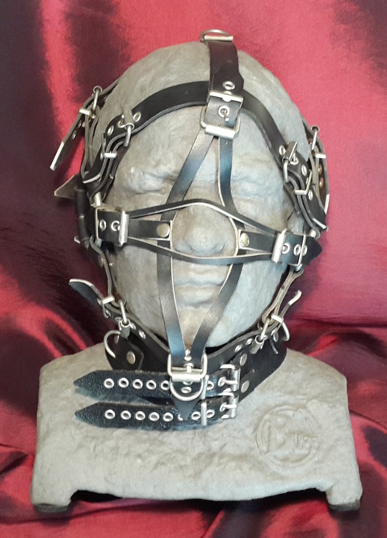 Full Face Head Harness With Collar. - Etsy