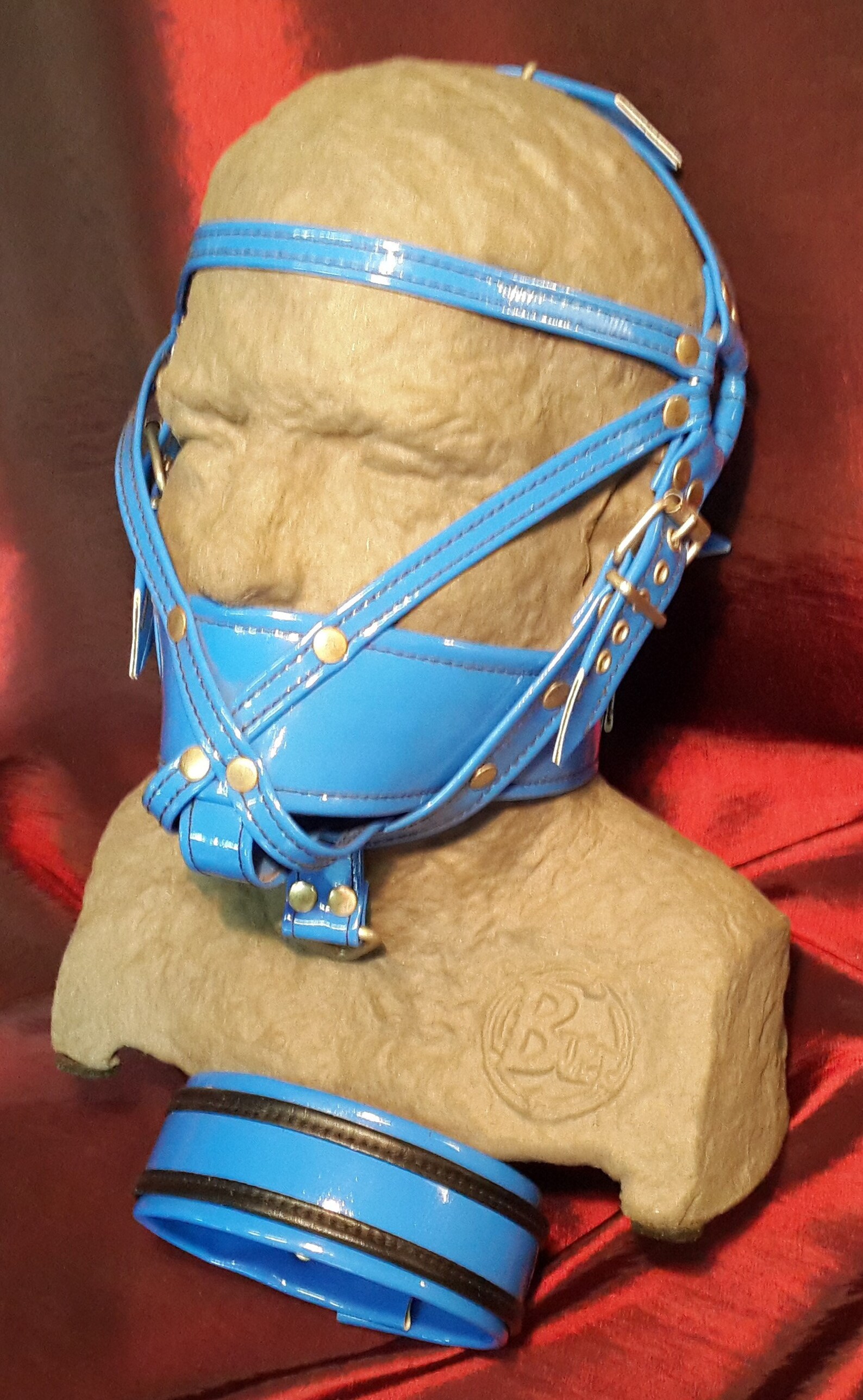 Closed Mouth Head Harness with Collar. | Etsy