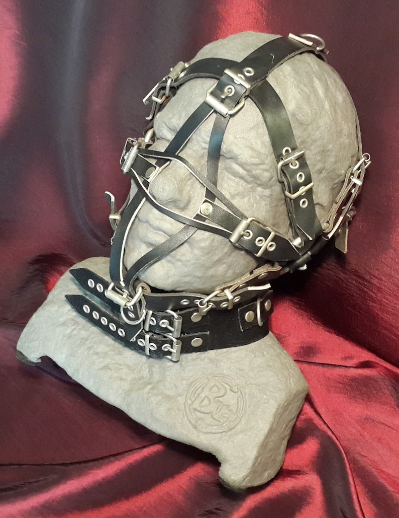 Full Face Head Harness With Collar. - Etsy