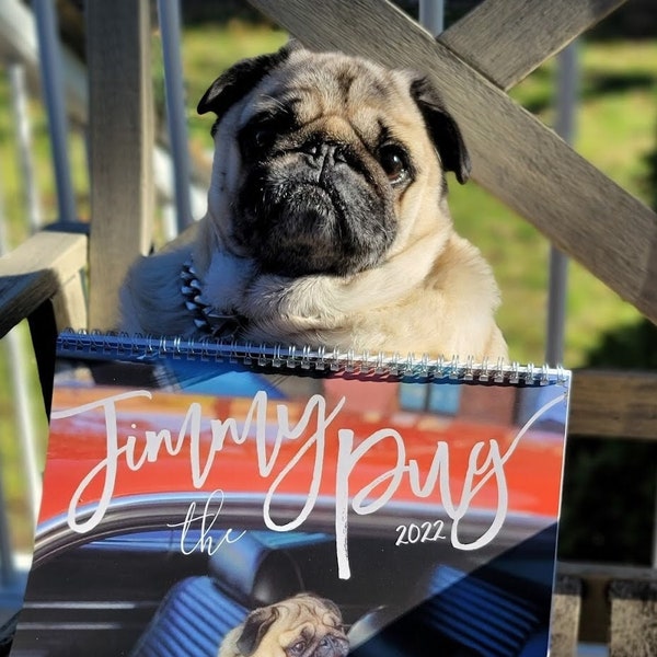 The Most Basic Of Turkey Hunting Basics: A First Timers Guide