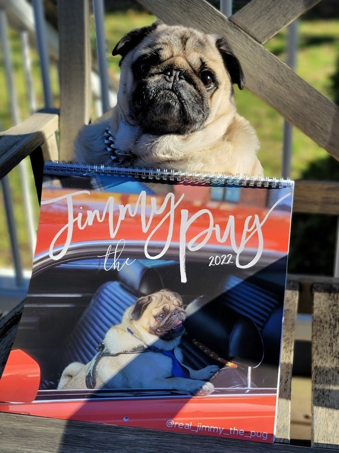 Real Jimmy the Pug 2022 Calendar - Etsy