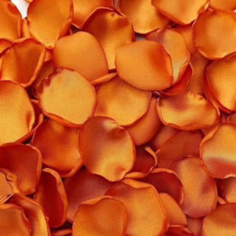 Burnt Orange Rose - Etsy