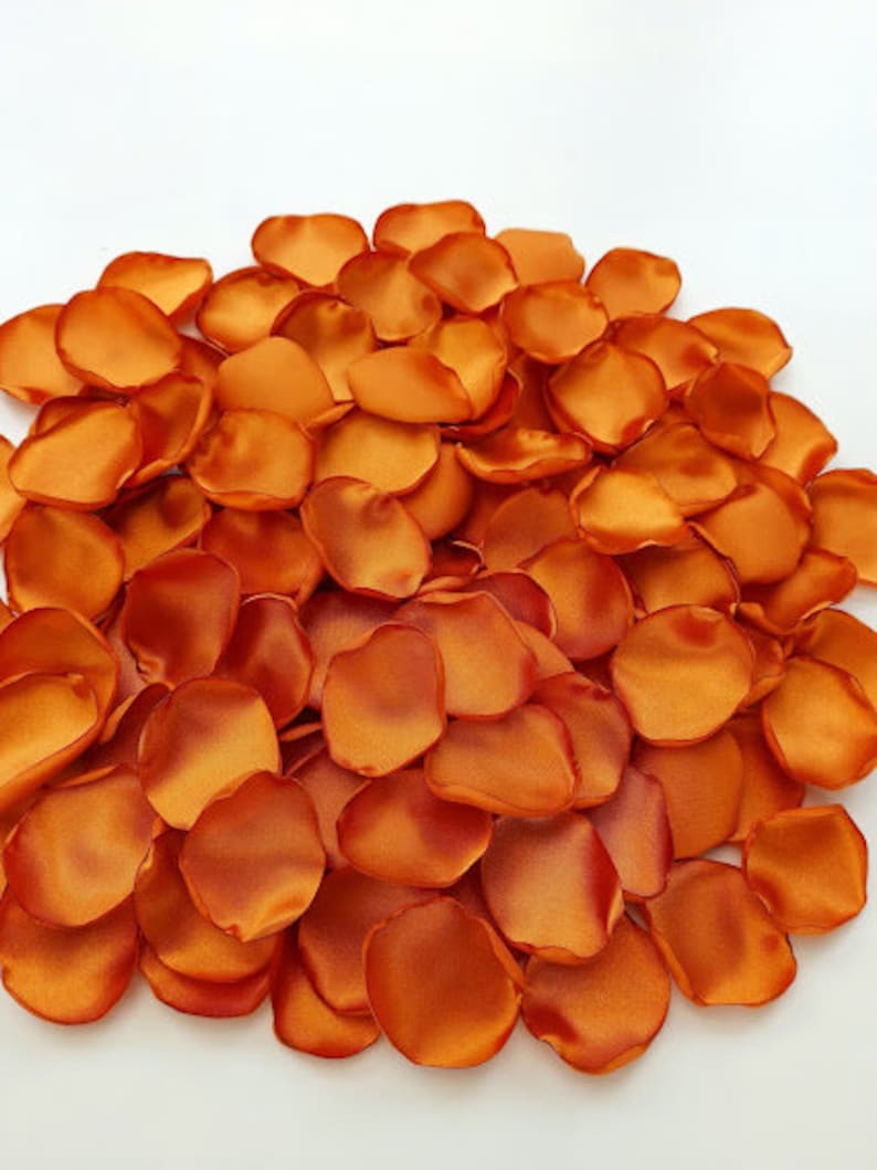Burnt Orange Flower Petals Copper Wedding Rust Orange Rose | Etsy