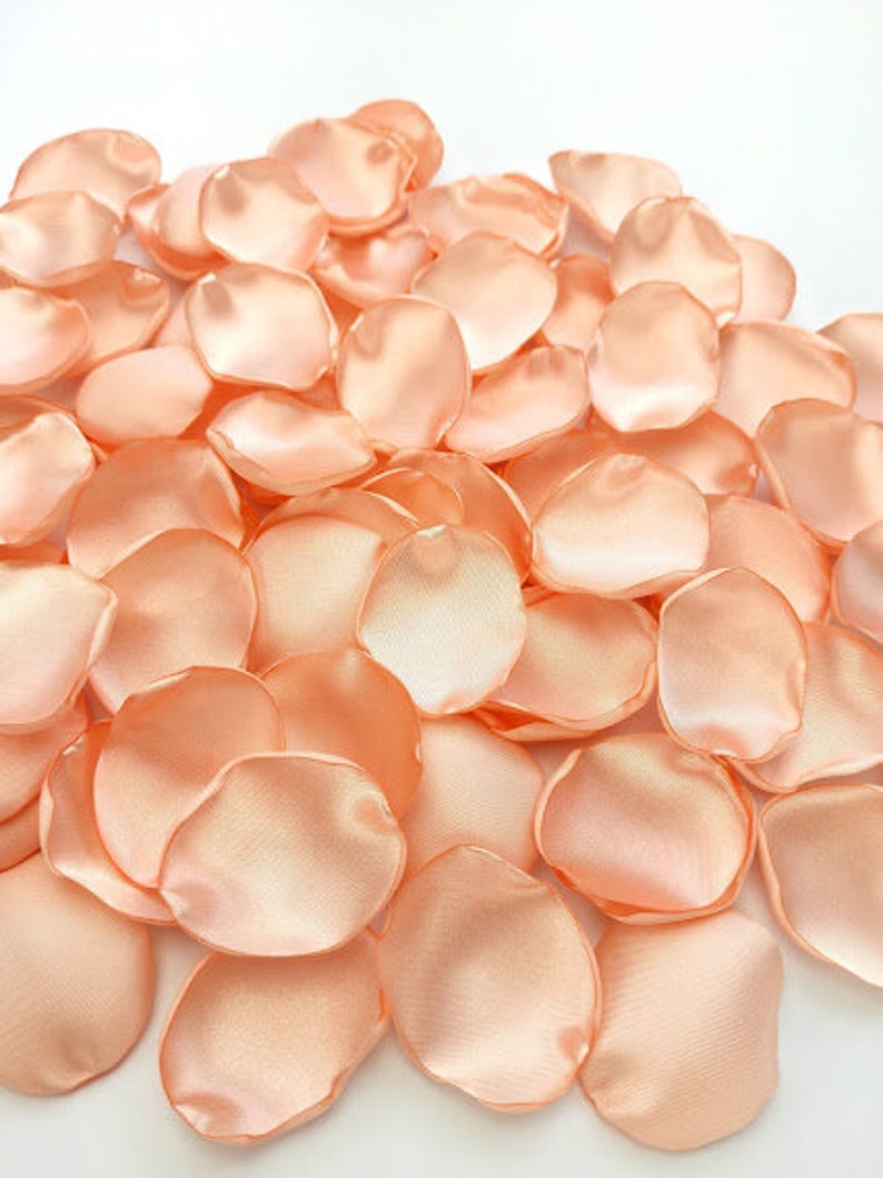 Peach Wedding Peach and Cream Decorations Light Peach Flower Petals ...