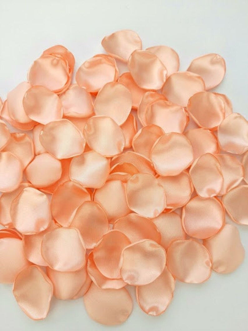 Peach Wedding Peach and Cream Decorations Light Peach Flower Petals ...