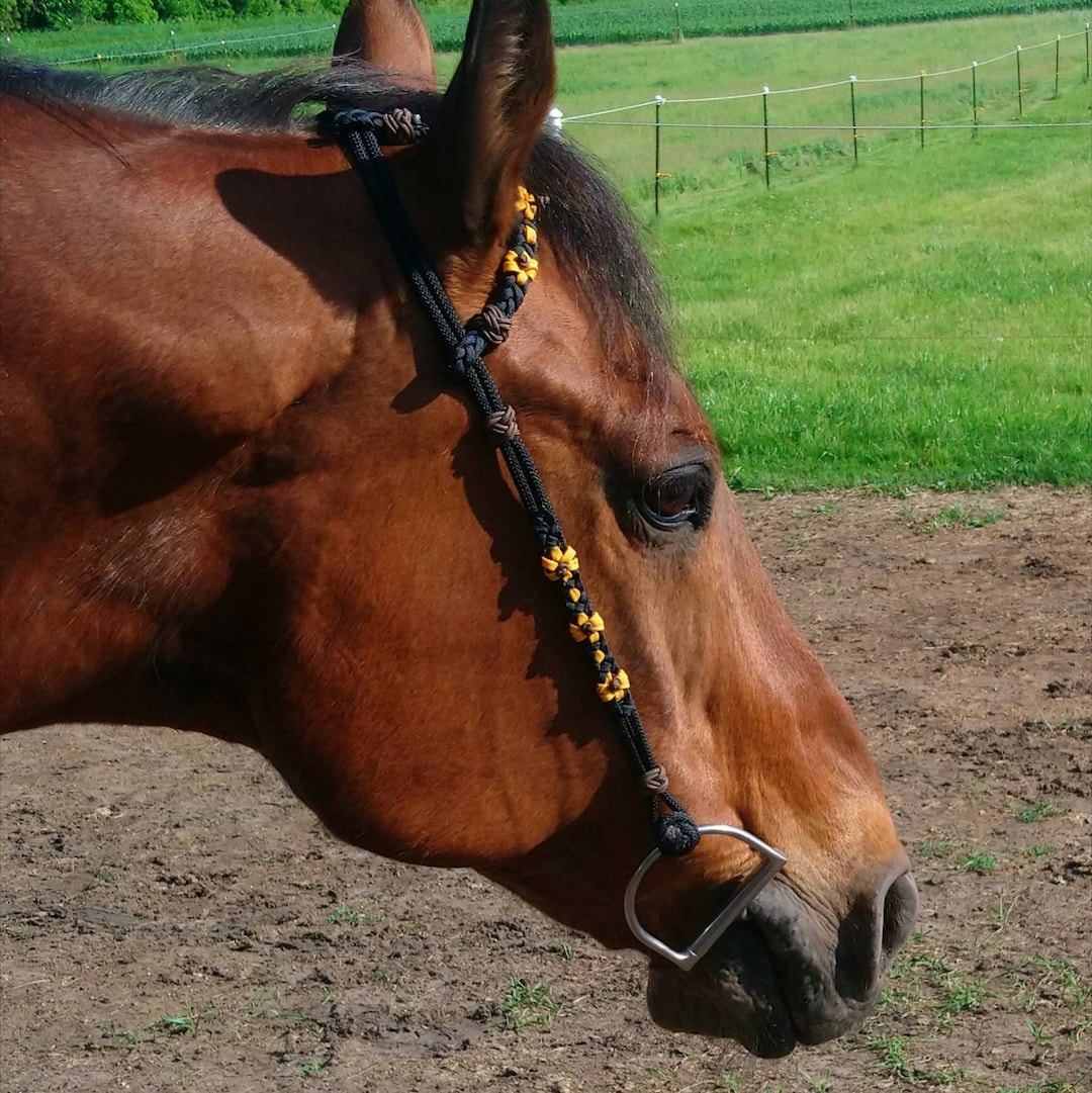 Sunflower Rope Headstall - Etsy