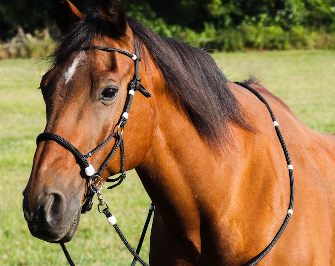 Ready to Ship Handmade Rope Horse Sidepull Bitless Bridle Hackamore - Etsy