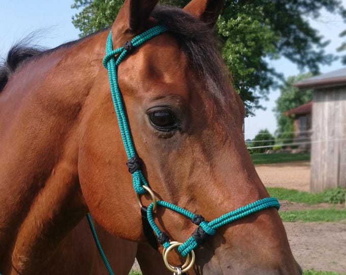 Fancy Horse Bridle Unique Style With Reins Pure Leather and Brass ...