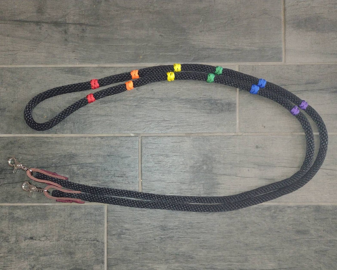 5/8 Derby Braid Rainbow Reins - Etsy